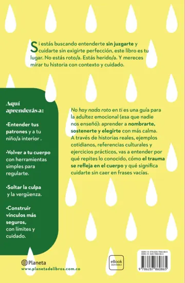 No hay nada roto en ti - Carmen E. Pabón | PlanetadeLibros